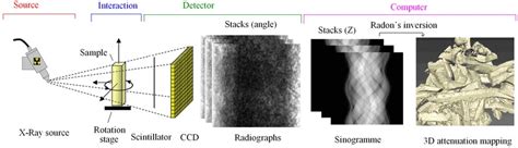 Principles Of 3d X Ray Computed Tomography Typically Used In Laboratory Download Scientific