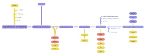 Signal Detection And Reporting Coggle Diagram