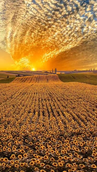 Harsh Singhal On Linkedin Let Your Beautiful Be Beautiful Like It Is As It Is Real Beauty Never…