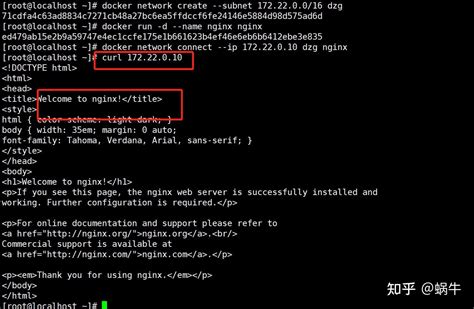 35 Docker之网桥详解 知乎