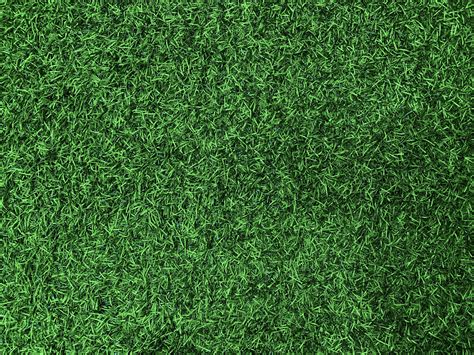 Green Grass Texture Background Grass Garden Concept Used For Making