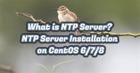 What Is NTP Server NTP Server Installation On CentOS SYSTEMCONF
