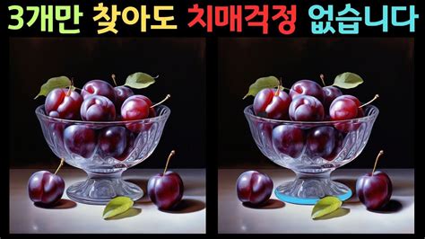 다른그림 찾기집중력 향상find The Difference 3개만 찾아도 치매걱정 없습니다 틀린그림 찾기치매예방 03 Youtube