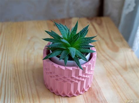 Купити Кашпо для суккулентов декоративный горш Skrynya Ua