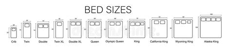 Bed Sizes And Mattress Dimensions Pictograms Depict Icons Of Bed
