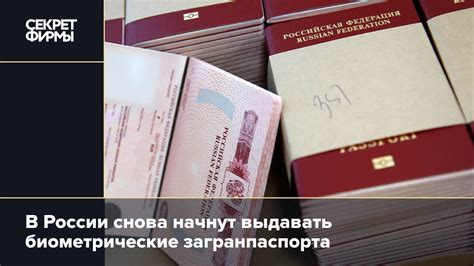В России снова начнут выдавать биометрические загранпаспорта Новости — Секрет фирмы