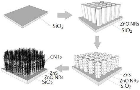 Schematic Diagram Of Fabrication Processes Of Zno Zns Core Shell