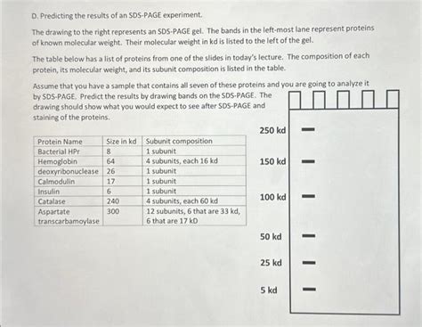 Solved D Predicting The Results Of An SDS PAGE Experiment Chegg Com