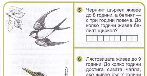 Училищно звънче Математика 1 клас Смятам до 20 Самостоятелна работа част 5