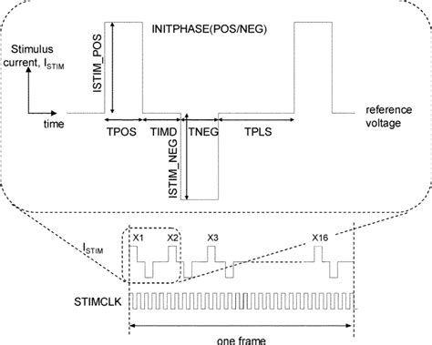 Stimulus Output Waveform Download Scientific Diagram