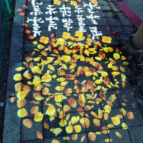 꽃잎 캘리글라피 디자인 캘리그라피 포트폴리오 크몽