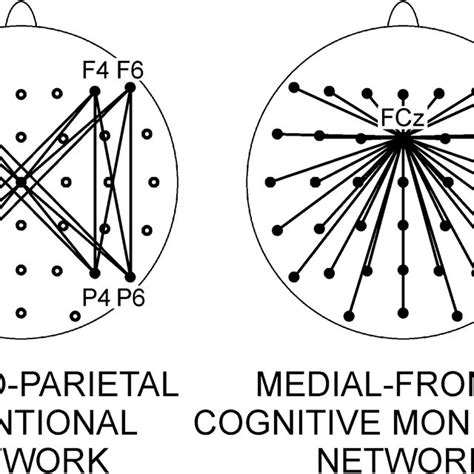 Schematic Presentation Of Attentional And Cognitive Monitoring