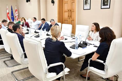 ნინო თანდილაშვილმა გარემოს დაცვისა და ბუნებრივი რესურსების კომიტეტს „სამრეწველო ემისიების