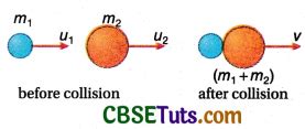 What Is A Perfectly Inelastic One Dimensional Collision Between Two Moving Objects CBSE Tuts