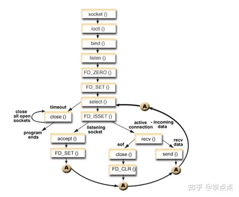 IO多路复用之select总结 知乎