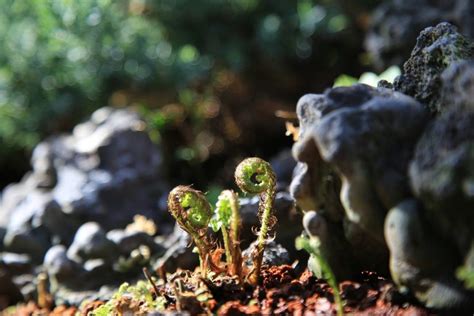 登山の魅力がわからないあなたへ。辛いだけじゃない登山の楽しみ方を紹介 てくてく登山