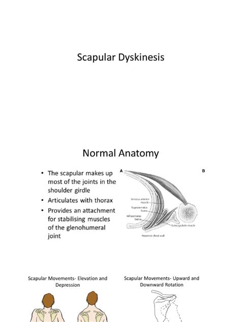 Scapular Dyskinesis 101 Pdf