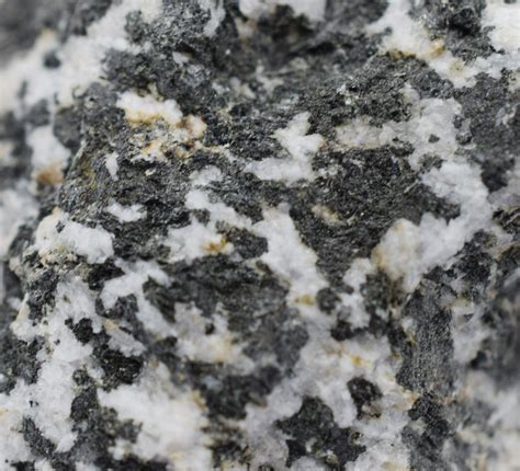 Igneous Rocks Diorite