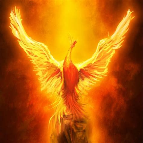 Wallpaper rebirth definition - Anime Top Wallpaper