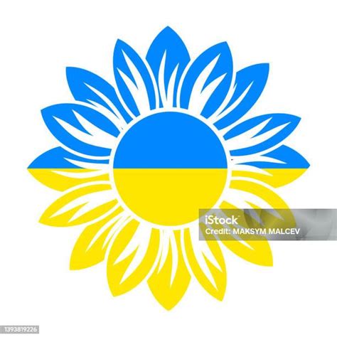 우크라이나어 해바라기 그림 배경에 고립 된 노란색과 파란색 색상의 우크라이나어 꽃 아이콘 벡터 Eps 10 해바라기에 대한 스톡 벡터 아트 및 기타 이미지 Istock