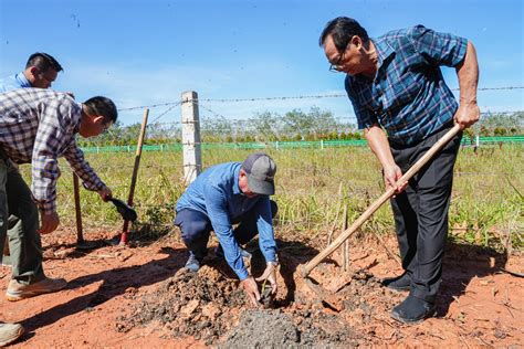 កូនត្នោត ១ពាន់ដើមនឹងត្រូវបន្តដាំតាមបណ្តោយផ្លូវល្បឿនលឿន ដើម្បីបង្កើនសោភ័ណភាព បរិស្ថាន