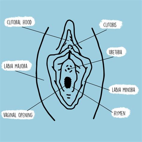 How To Know If Hymen Has Been Broken