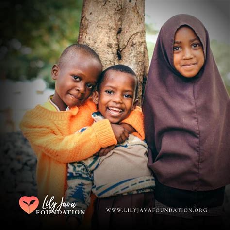 Lily Java Foundation