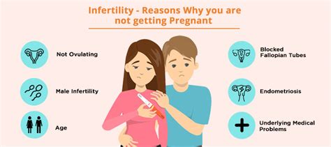Infertility Causes Diagnosis Risks And Treatments