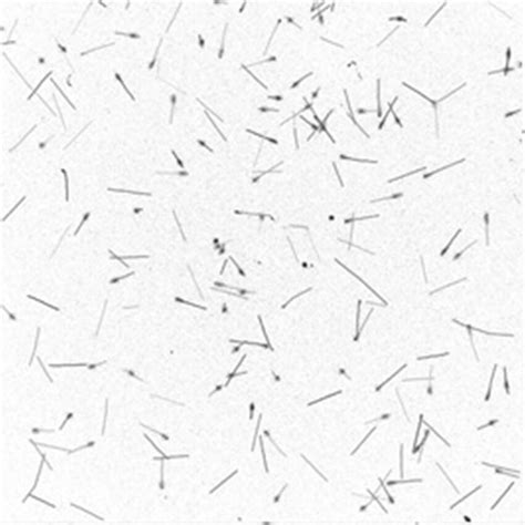 Linking Of The Sample In Figure 4 With The Parameters In Table 2 Download Scientific Diagram