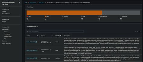 How To Leverage Image Vulnerability Scanning On Aws Ecr