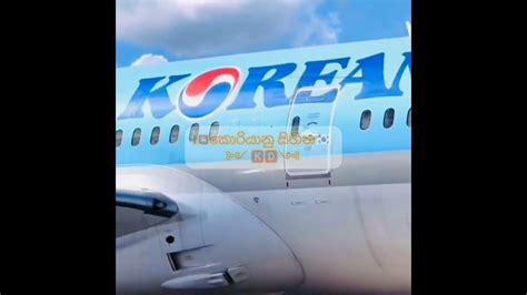 ༻සිහින රටේ නිල් කිරිල්ලි༺ Youtube