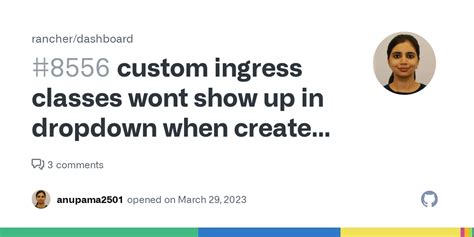 Custom Ingress Classes Wont Show Up In Dropdown When Created From The
