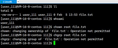 【linux】linux权限（下） linux修改文件拥有者 csdn博客