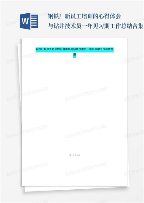 钢铁厂新员工培训的心得体会与钻井技术员一年见习期工作总结合集 Word模板下载 编号qwnpmnvo 熊猫办公