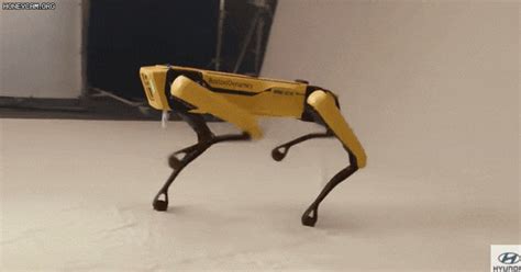 Bts 안무 따라 춤추는 로봇개 현대차 스팟 댄스 영상 공개