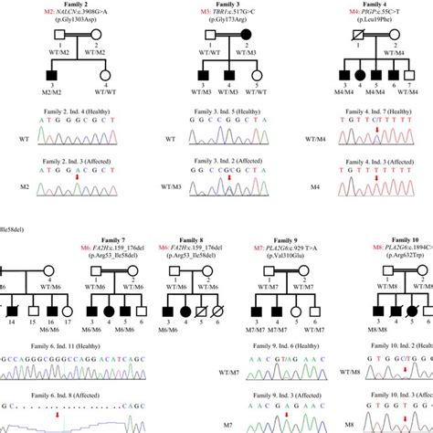Ngs Driven Molecular Diagnosis Of Heterogeneous Hereditary Neurological