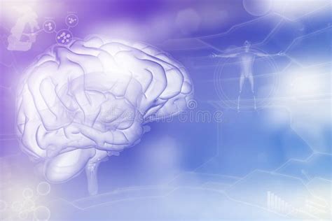 Medical D Illustration Human Brain Memory Research Concept Very Detailed Hi Tech Texture