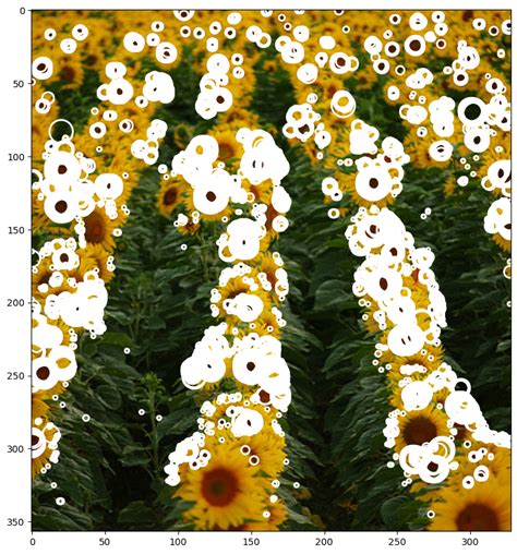 Blob Detection With Laplacian Of Gaussian