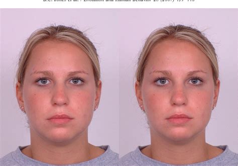 Figure 3 From Sensation Seeking And Mens Face Preferences Semantic Scholar