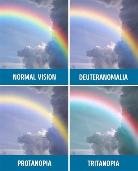 These Photos Show What It Looks Like To Be Colorblind Freeyork