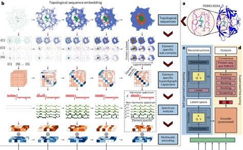 Revolutionizing Drug Discovery The Power Of TopoFormer AI Fusion Chat