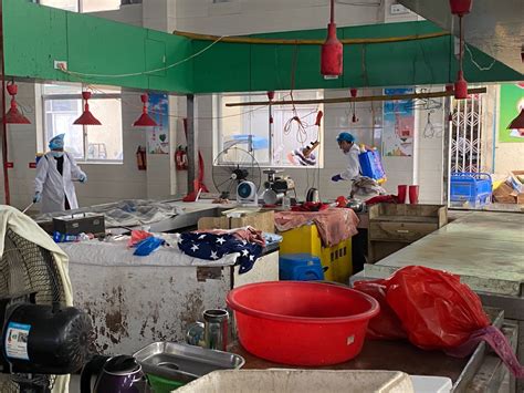 浙南产业集聚区（经开区）疾病预防控制中心开展灾后消毒防疫工作 智慧经济 温州网
