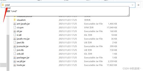 【使用hsdb工具查看运行时的类文件】 Csdn博客 【使用hsdb工具查看运行时的类文件】 Csdn博客
