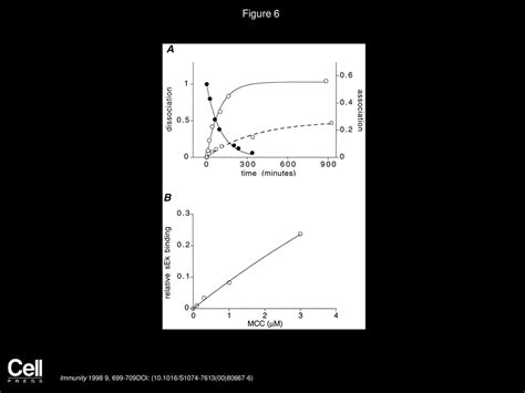 Formation Of A Highly Peptide Receptive State Of Class II MHC Ppt Download