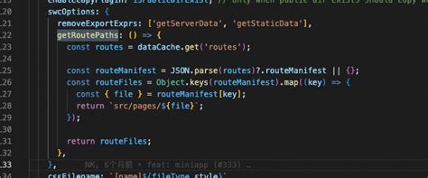 统一 Swc Config 中的 Getroutepaths 配置 · Issue 6066 · Alibabaice · Github