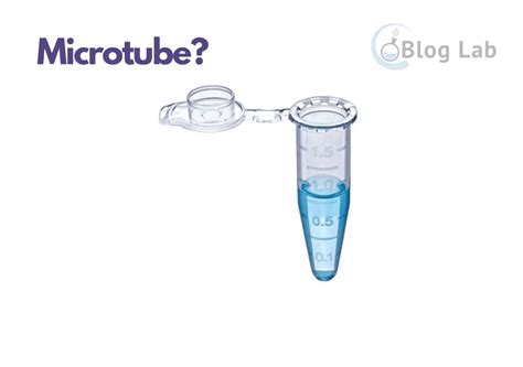 Pengertian Dan Fungsi Microtube