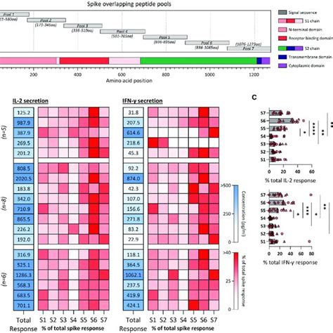 Inactivated Sars Cov 2 Vaccine Induced Spike Specific T Cells Target Download Scientific