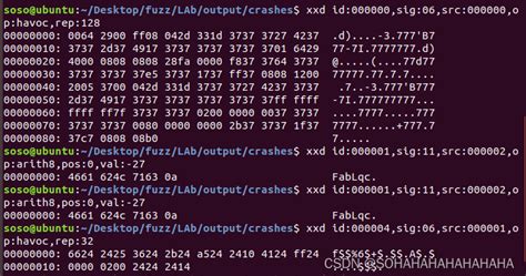 Fuzz入门1 Csdn博客