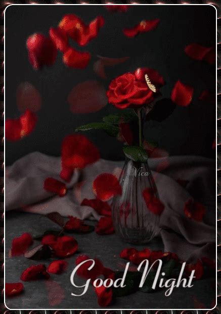 Good Night Quotes With Red Rose