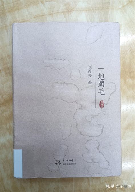 刘震云原著一地鸡毛中年人的生活就是一地鸡毛 知乎